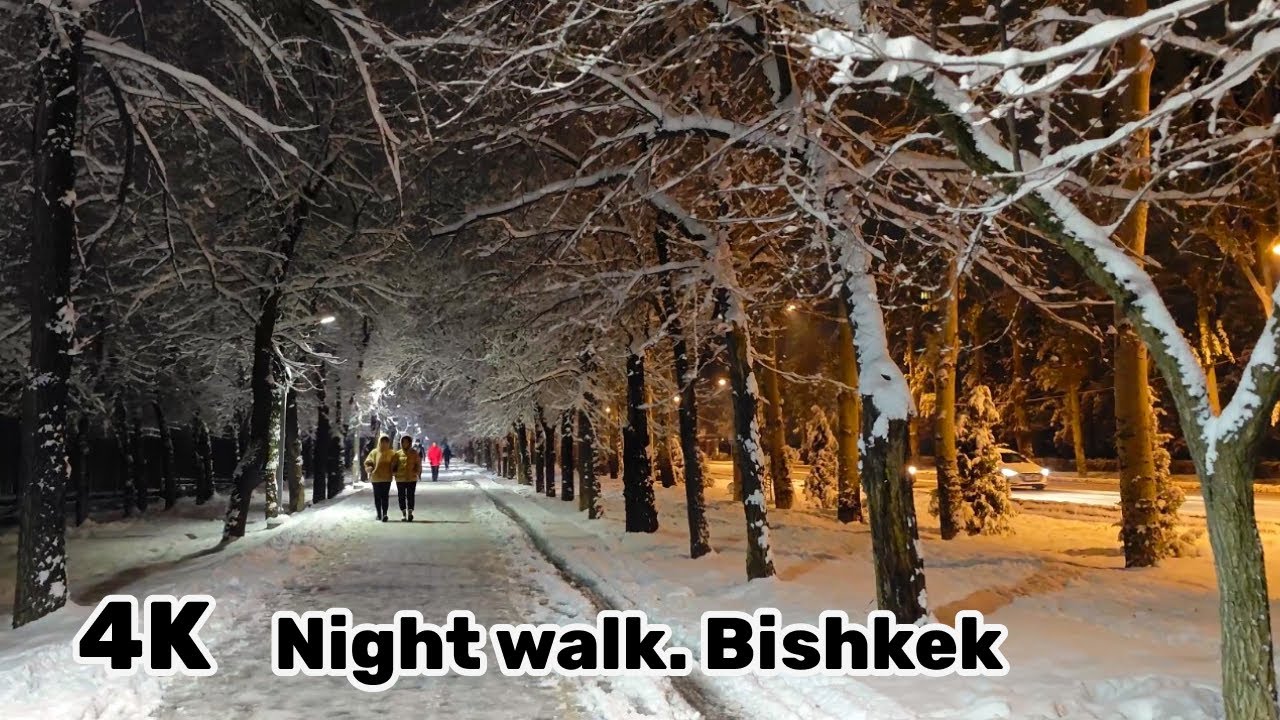 A relaxing night walk in winter Bishkek. Sounds of footsteps in the ...