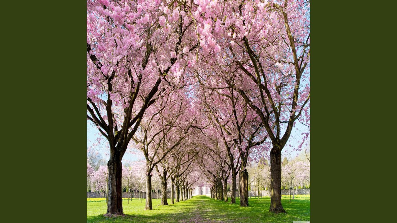Spring - YouTube