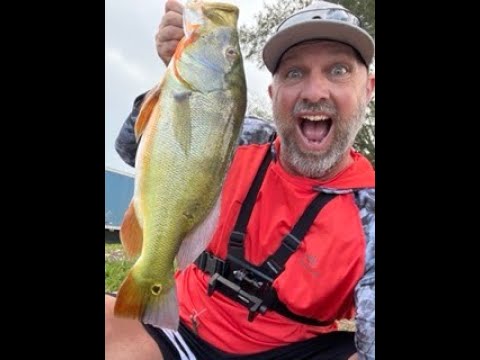 Catching Monster Peacock Bass - Slappin Da Bass! - YouTube