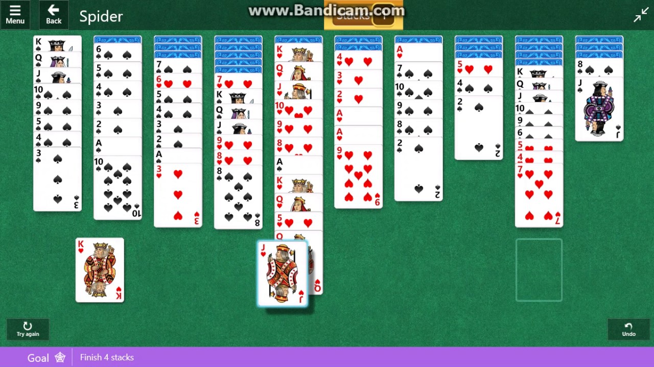 Spider Expert April 8th, 2017 - YouTube