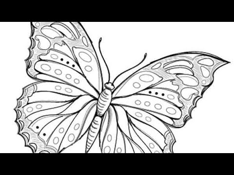 LEARN HOW TO DRAW FOR BEGINNERS [*EASY TUTORIAL*] - YouTube