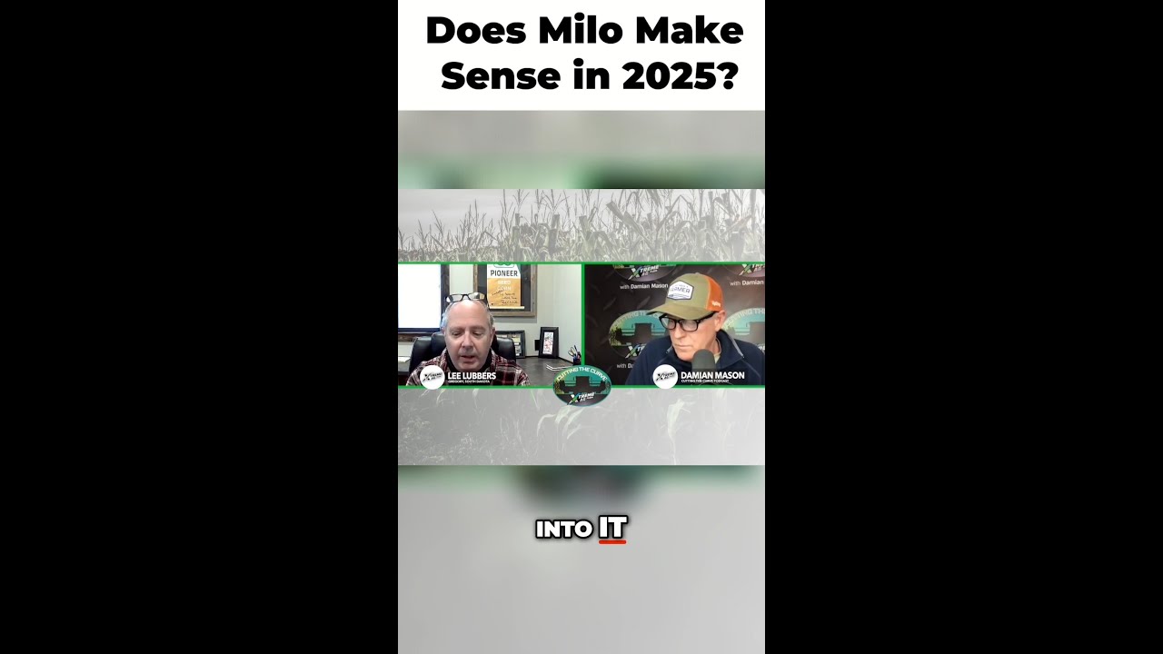 Does Milo Make Sense in 2025? - YouTube