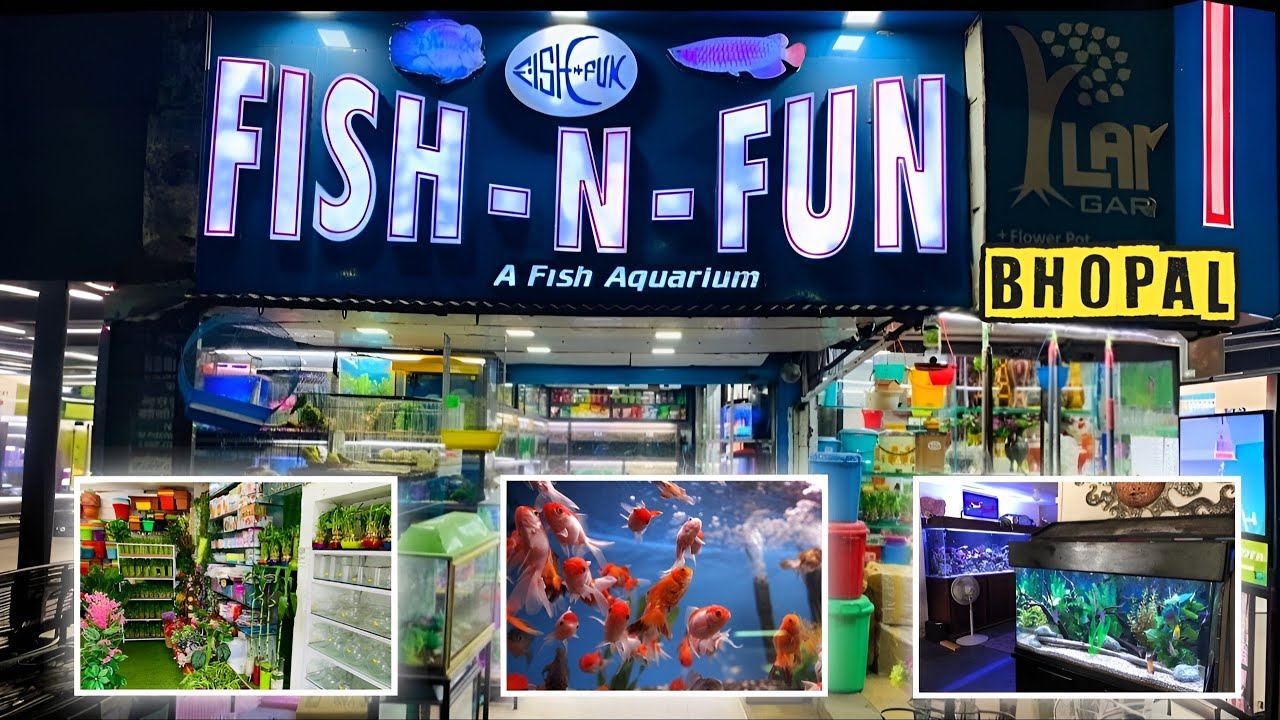 FISH-N-FUN Aquarium Wholesaler and Retailer Bhopal || Three Floors ...