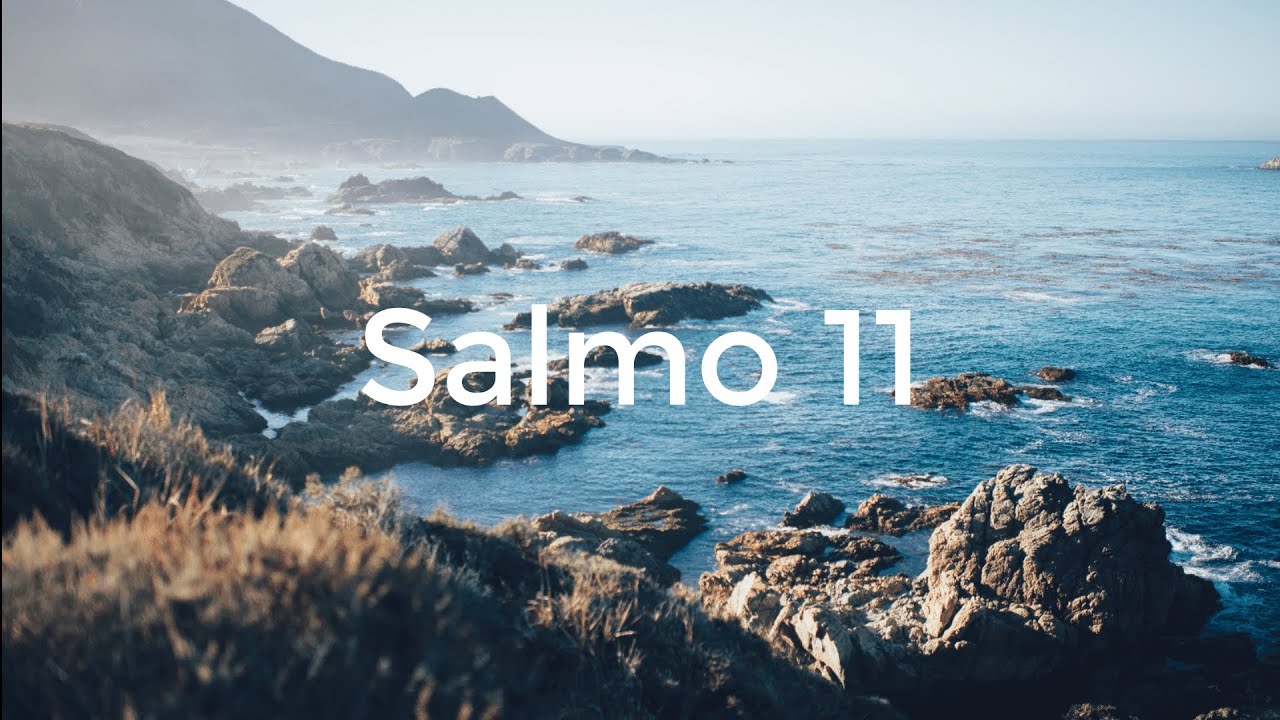 Salmo 11 - Padre Diego [Letra] [Cantado] - YouTube