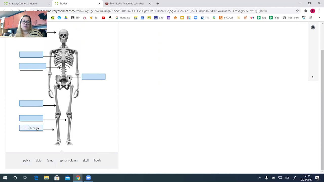 Science Human Body Test Video - YouTube