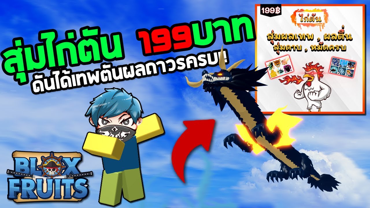 สุ่มไก่ตัน 199บาท ดันได้ผลถาวรครบ555+ - YouTube