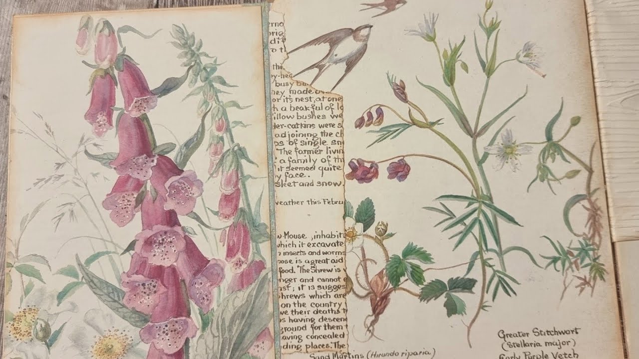 Altered File Folder Junk Journal - Edith Holden Country Diary Of A ...