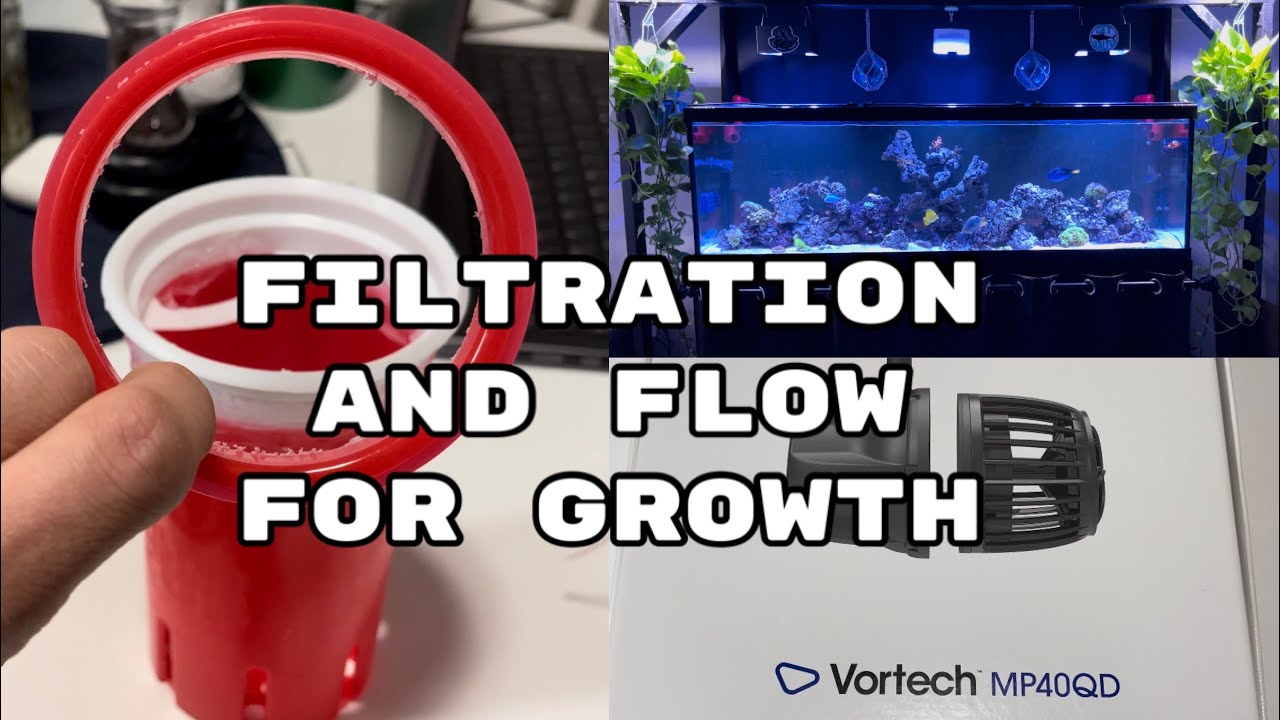 125 Gallon Reef Tank: Filtration and Flow Upgrades - YouTube