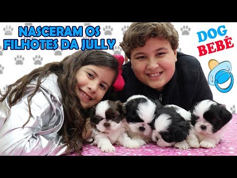NASCERAM OS FILHOTES DA JULLY - Nossos cachorrinhos bebês ♥