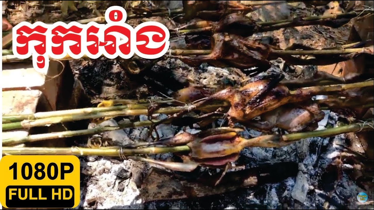 Cooking birds delicious - YouTube