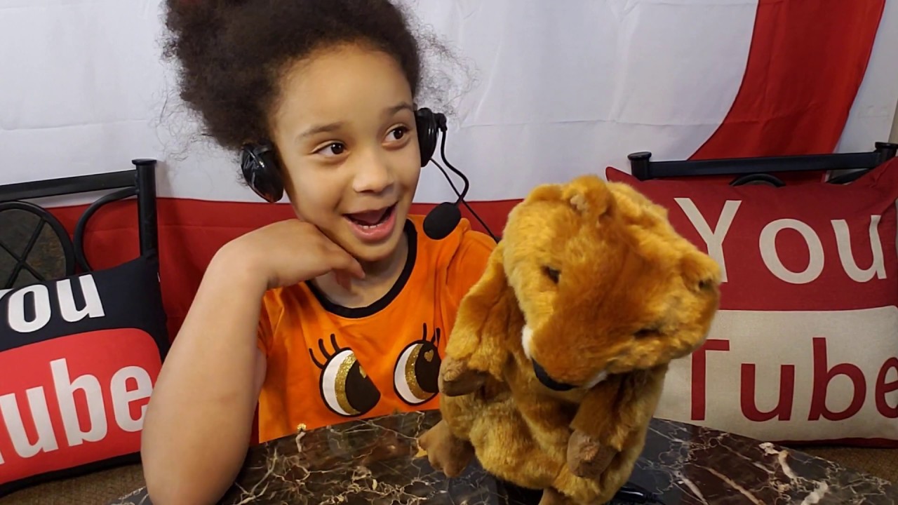 THE PUPPET COMPANY BEAVER PUPPET . 1ST TIME REACTION AND DEMONSTRATION ...