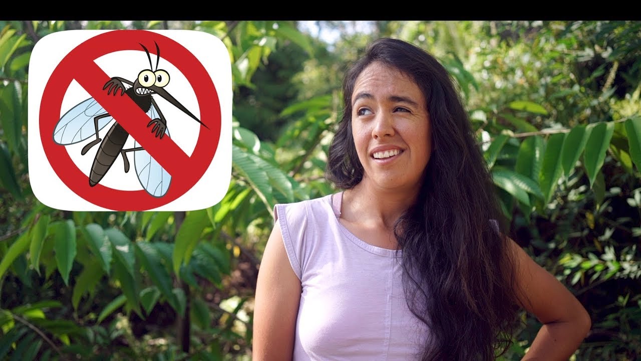 HOW we are getting RID of our MOSQUITO PROBLEM using PERMACULTURE - YouTube