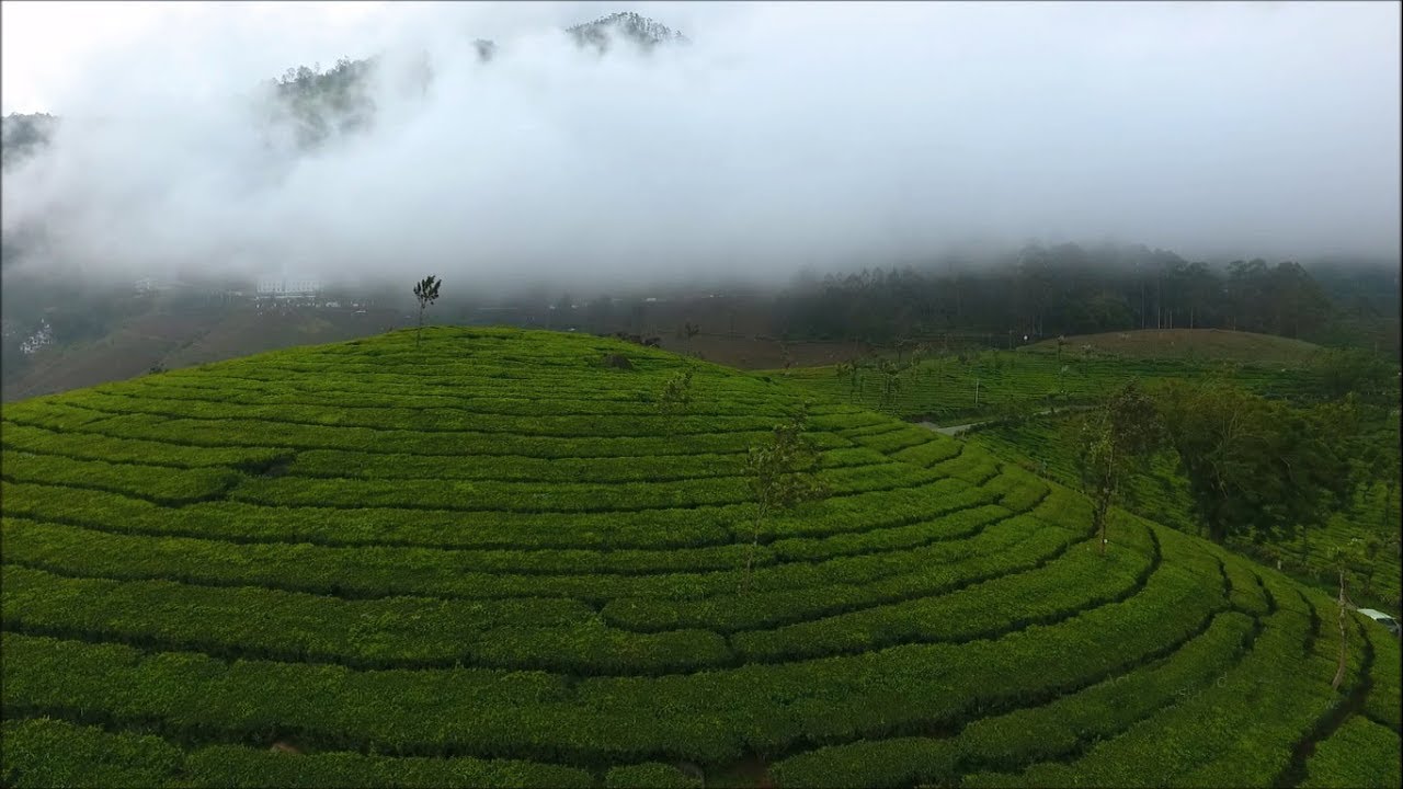 Aerial view of Munnar (2017)- Kerala Tourism HD - YouTube