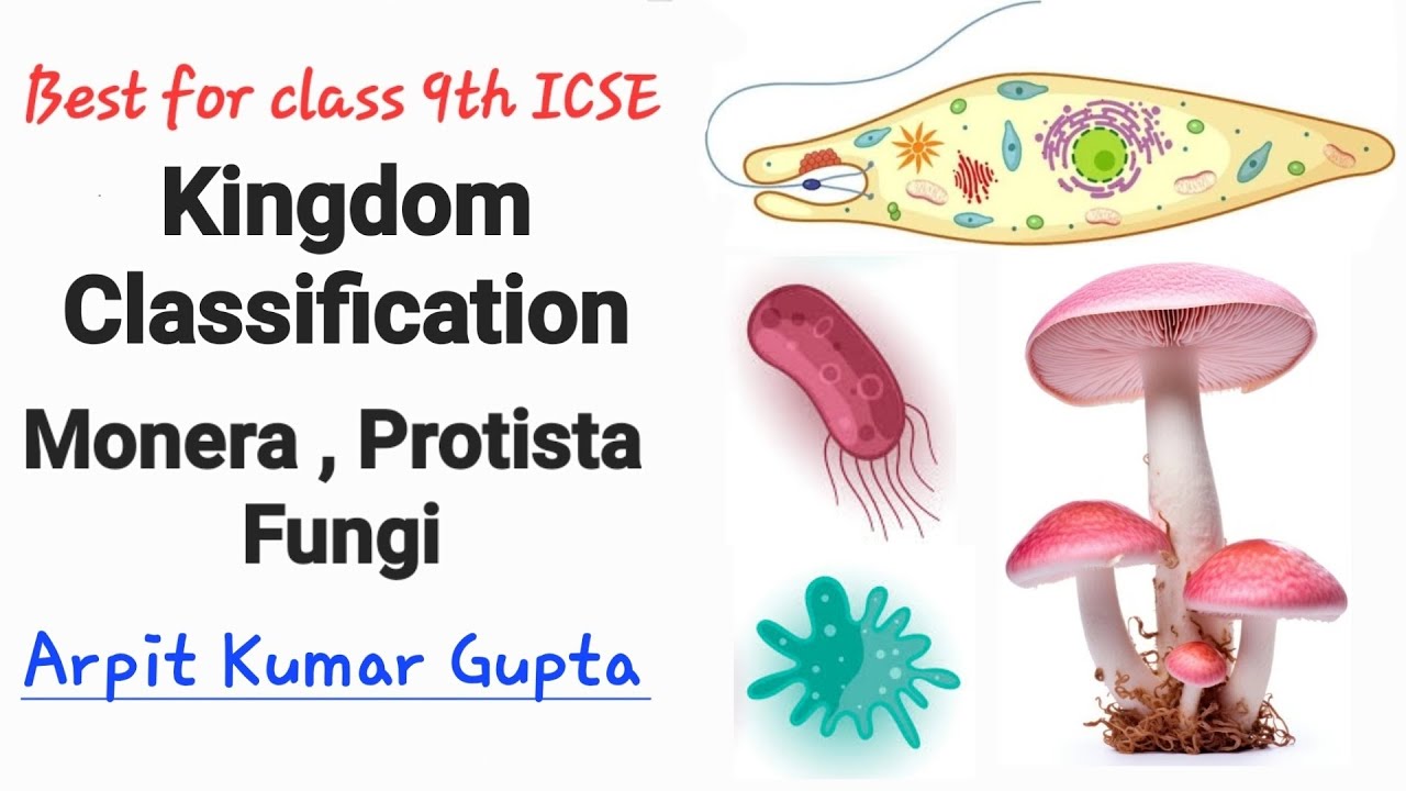 Kingdom Classification Part 1।। Monera।। Protista।। Fungi।। class 9th ...
