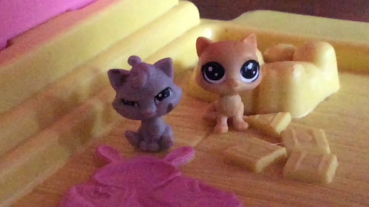 Angelina’s Sleep Over At Shady Lane LPS - YouTube