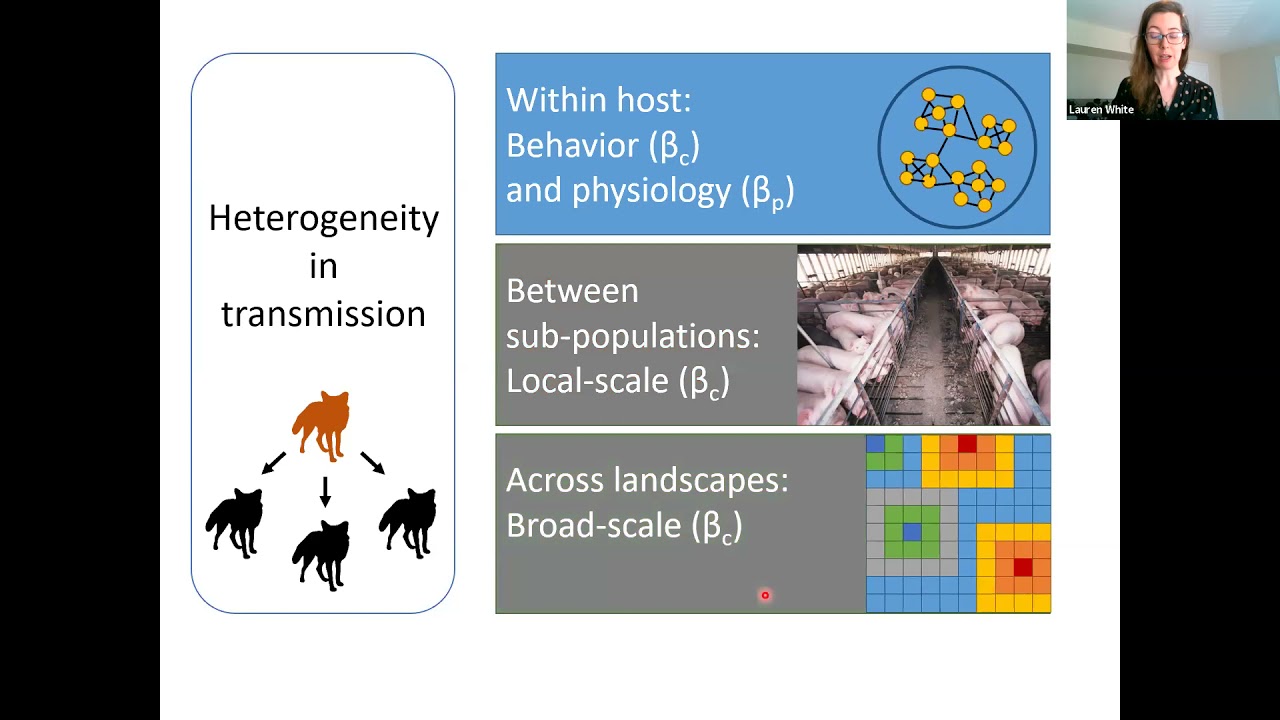 The Effects of Heterogeneity in Pathogen Transmission on Disease ...