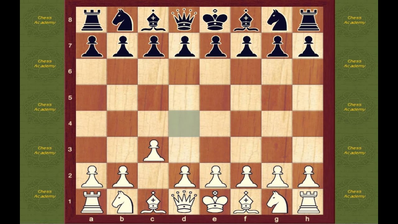 Chess Opening Book Saragossa Opening - YouTube