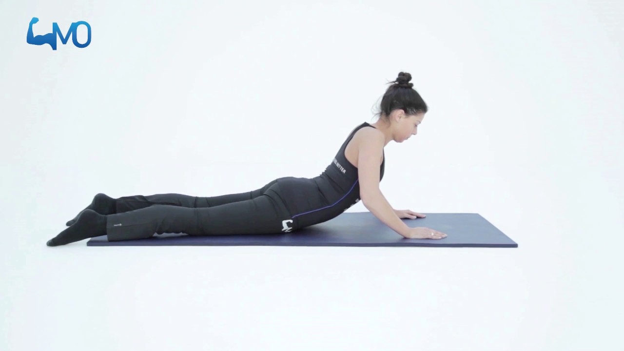 My Online Chiropractor | Back exercise | Stretch exercises for back ...