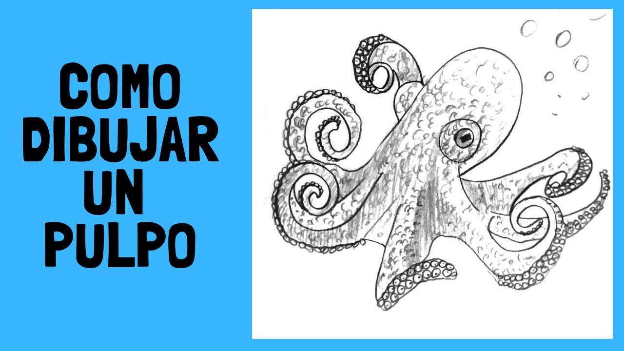 how to draw an octopus ? | como dibujar un pulpo? - YouTube