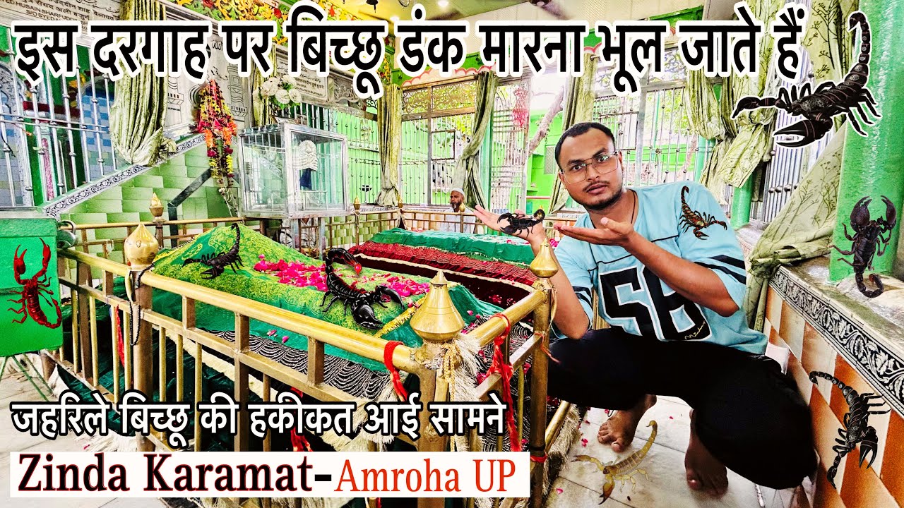 Bichu Vali Dargah Amroha Up | 850 Salo se Dargah par Raz kar rhe bichu ...