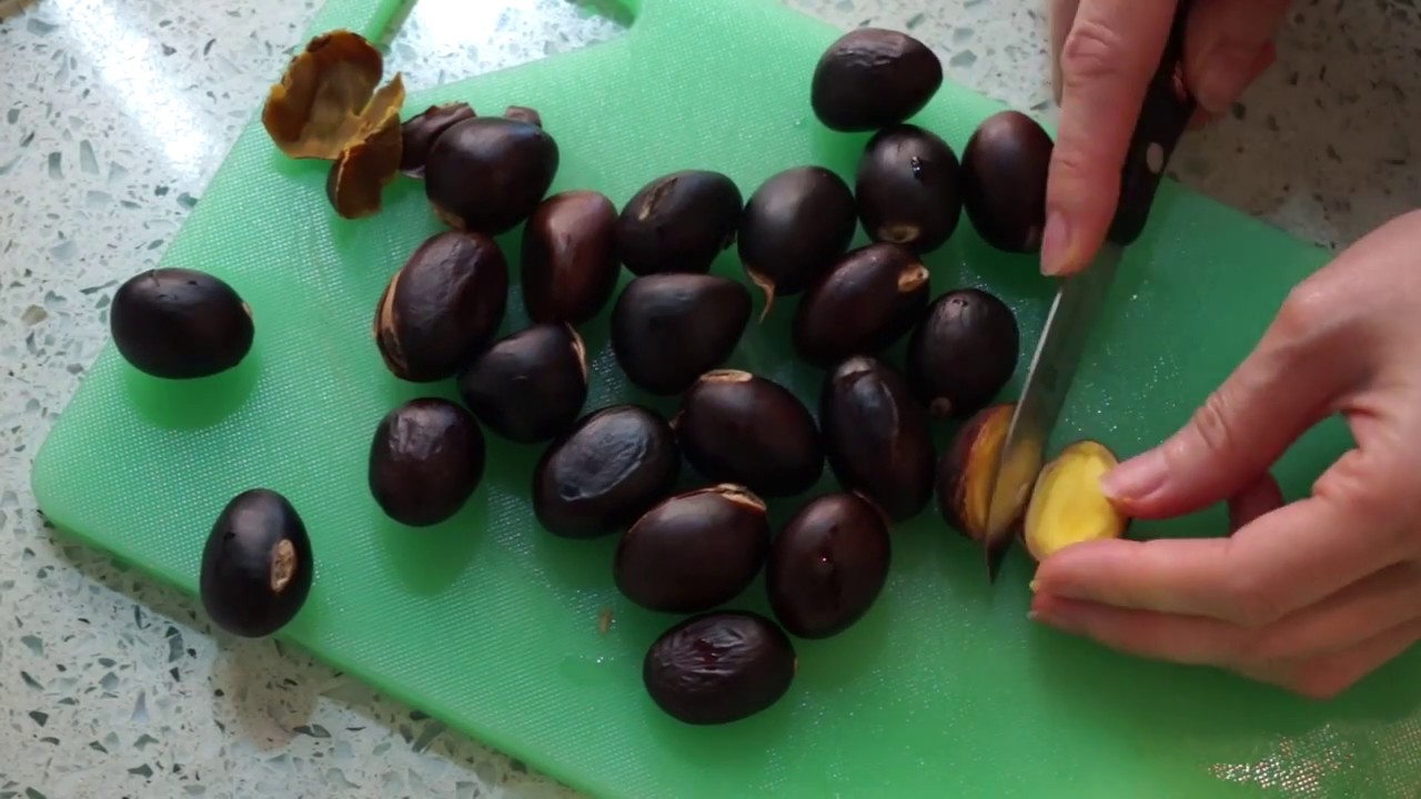 巧煮意：蘋婆燜雞 Ping Pong Chicken Stew｜Hao's Kitchen - YouTube