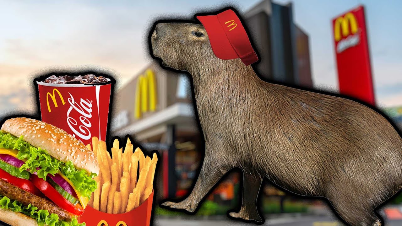 Meniu Capybara McDonalds - YouTube