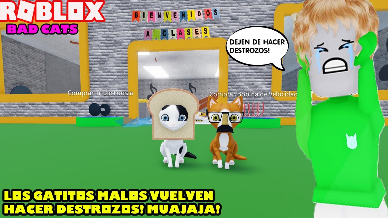 Los Gatitos Malos Vuelven Hacer Destrozos En Los Parque y Escuelas ...