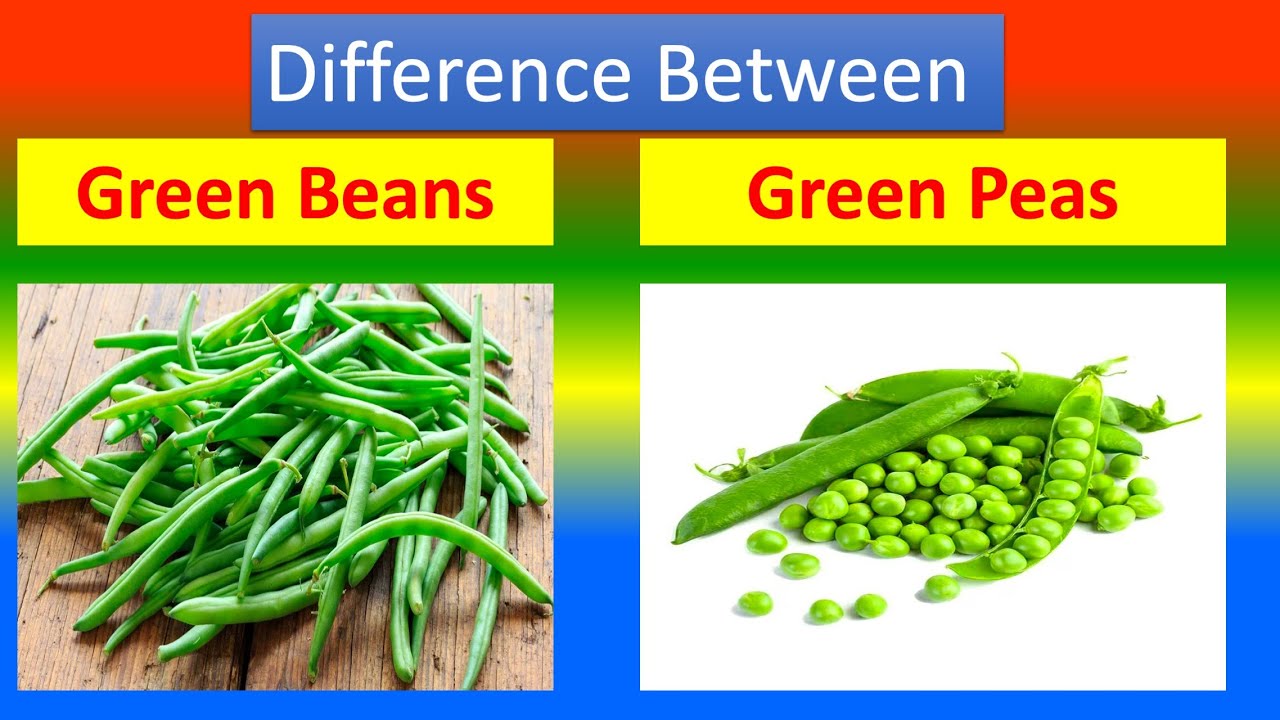 Differences Between Medical and Health Benefits of Green Beans and ...