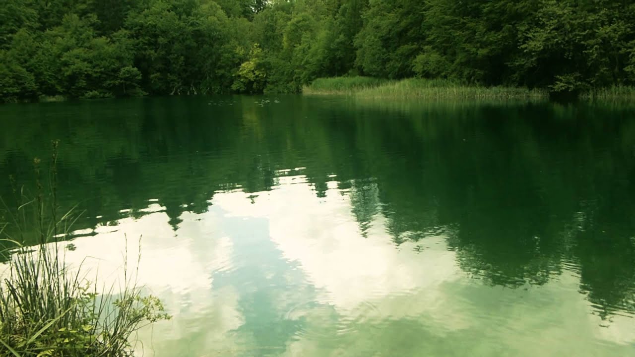 #9772, Reflejo de los árboles en el lago [Efecto], Paisajes naturales y ...