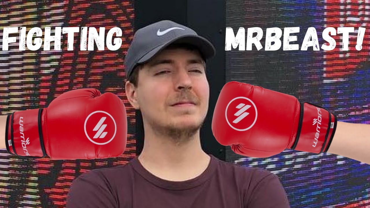 Challenging MrBeast To A Boxing Match! - YouTube