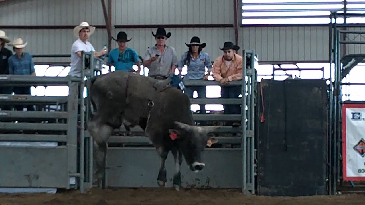 KMH Bucking Bulls ... Oscar's Outlaw - YouTube