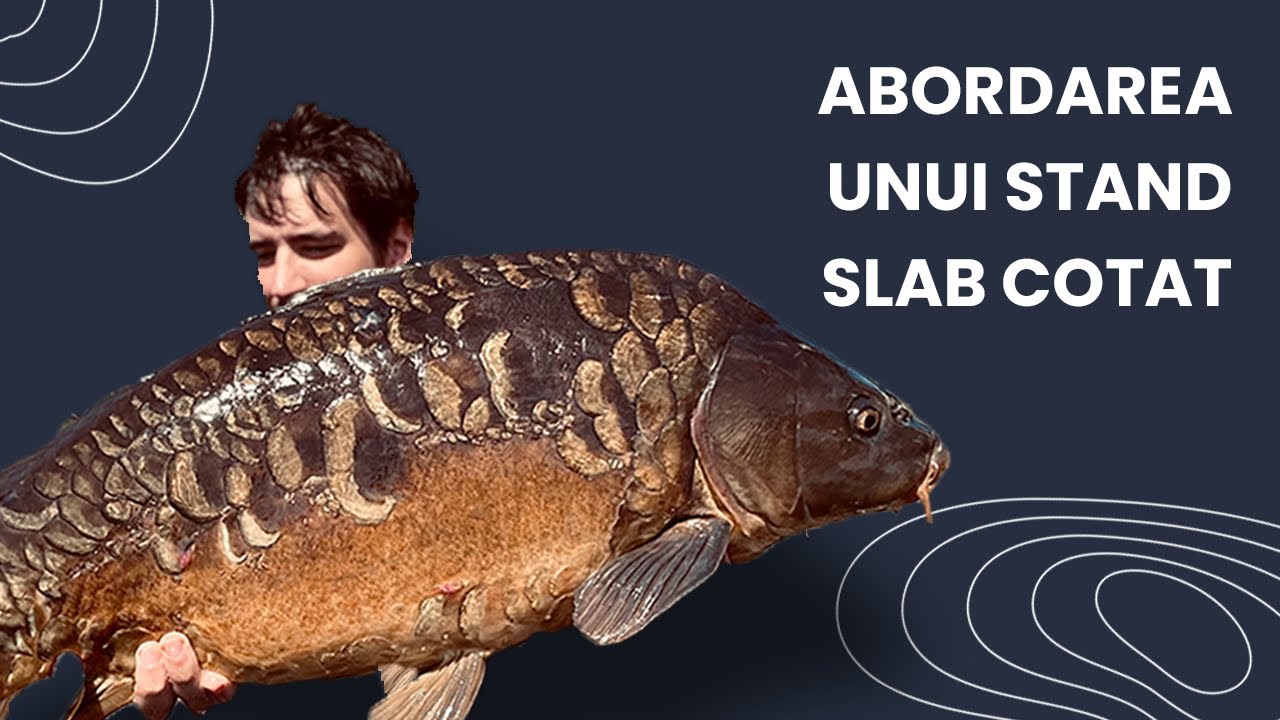 Strategii in pescuitul la crap pentru abordarea unul stand slab cotat ...