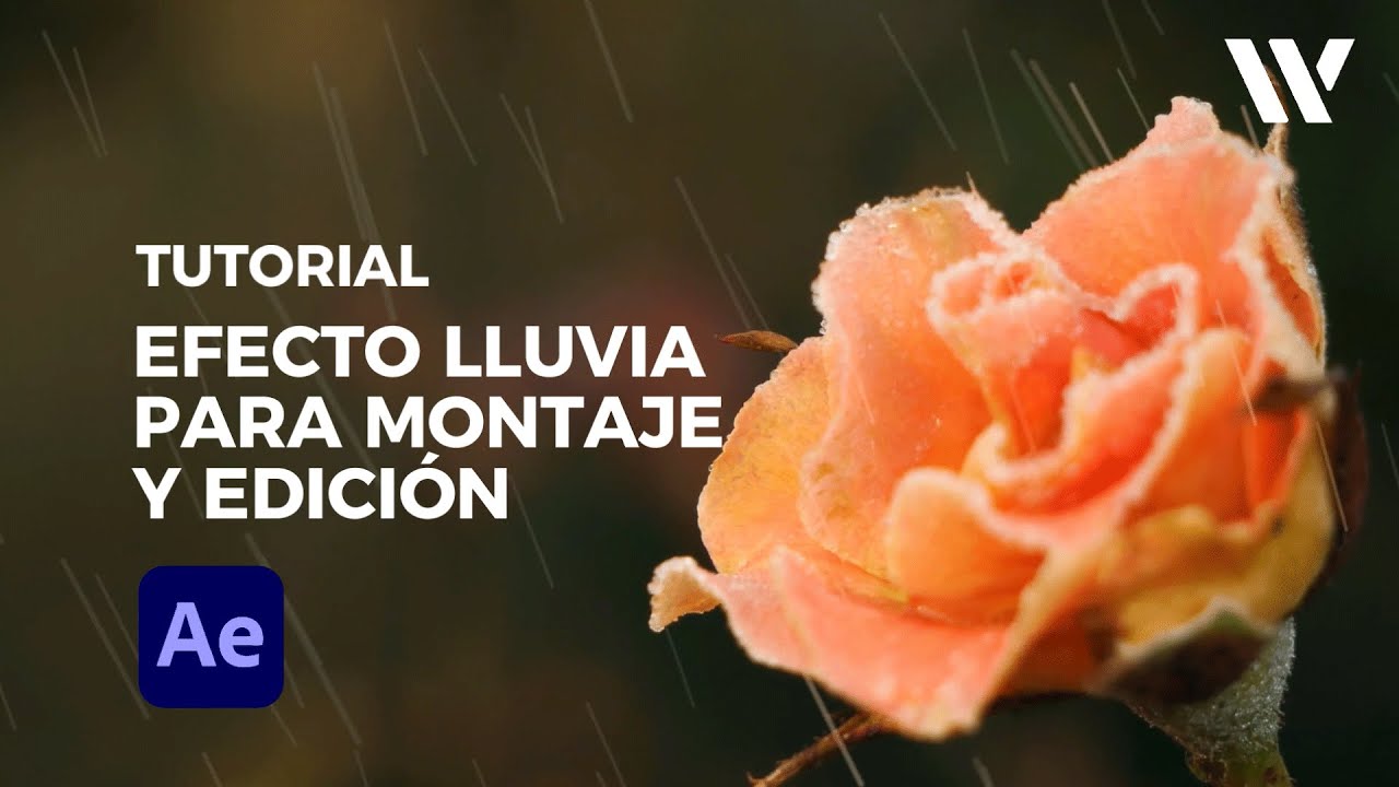 TUTORIAL - CÓMO HACER UN EFECTO DE LLUVIA PARA VIDEOS Y EDICIONES - AFTER EFFECTS - CC 2022 ...
