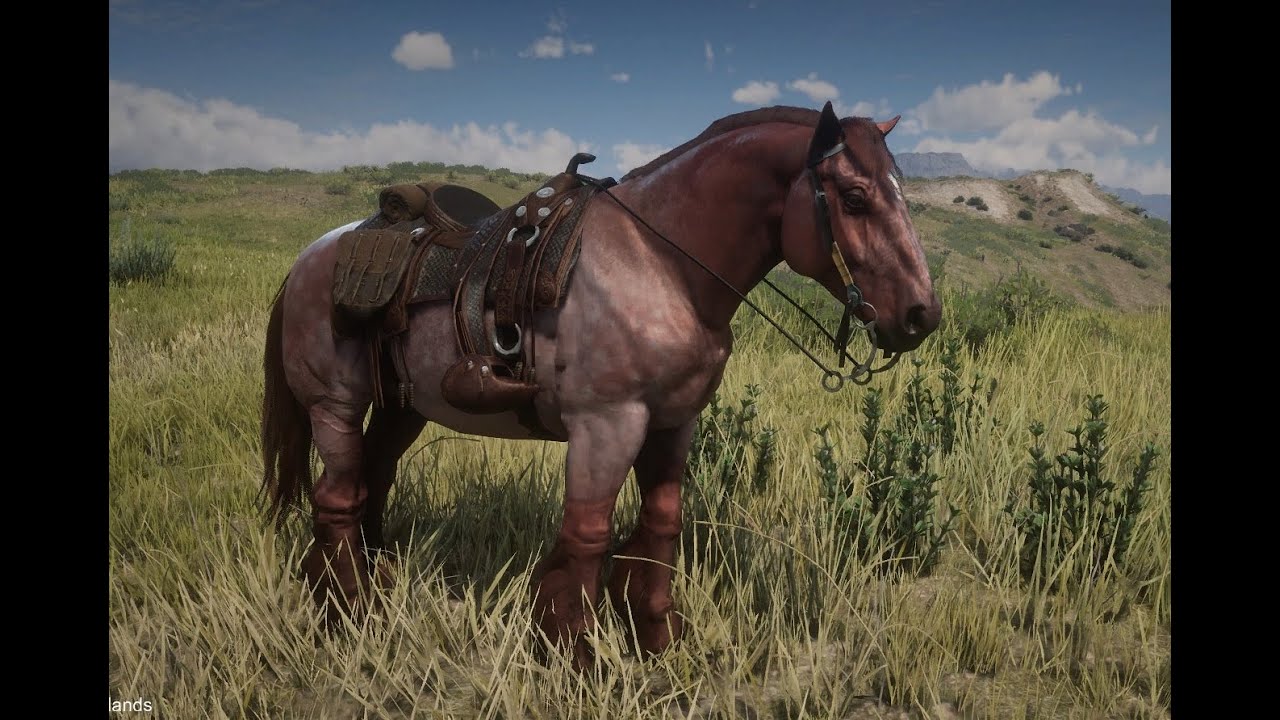 RDR2 The Missouri Fox Trotter, Strawberry Roan Ardennes and the Black ...