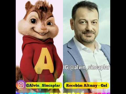 Alvin Sincaplar--@recebimonline Gel 🎵 Sevdiğini Etiketle