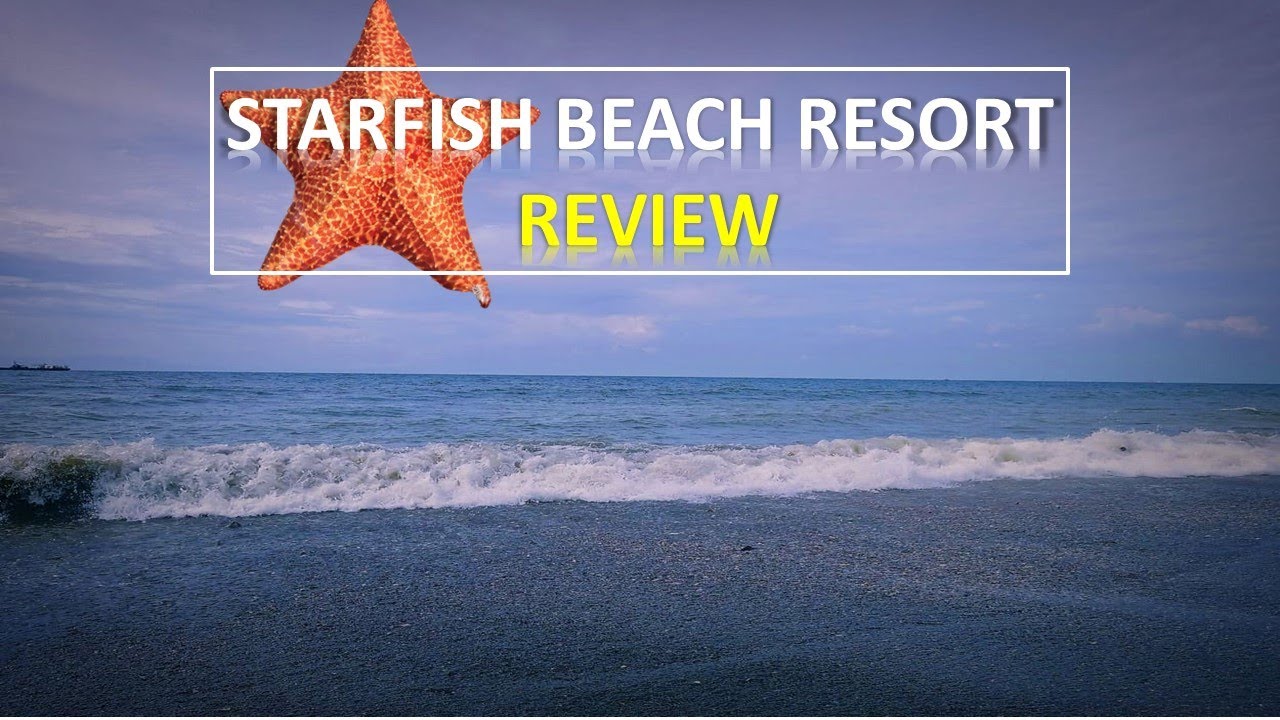 STARFISH Beach Resort REVIEW - YouTube