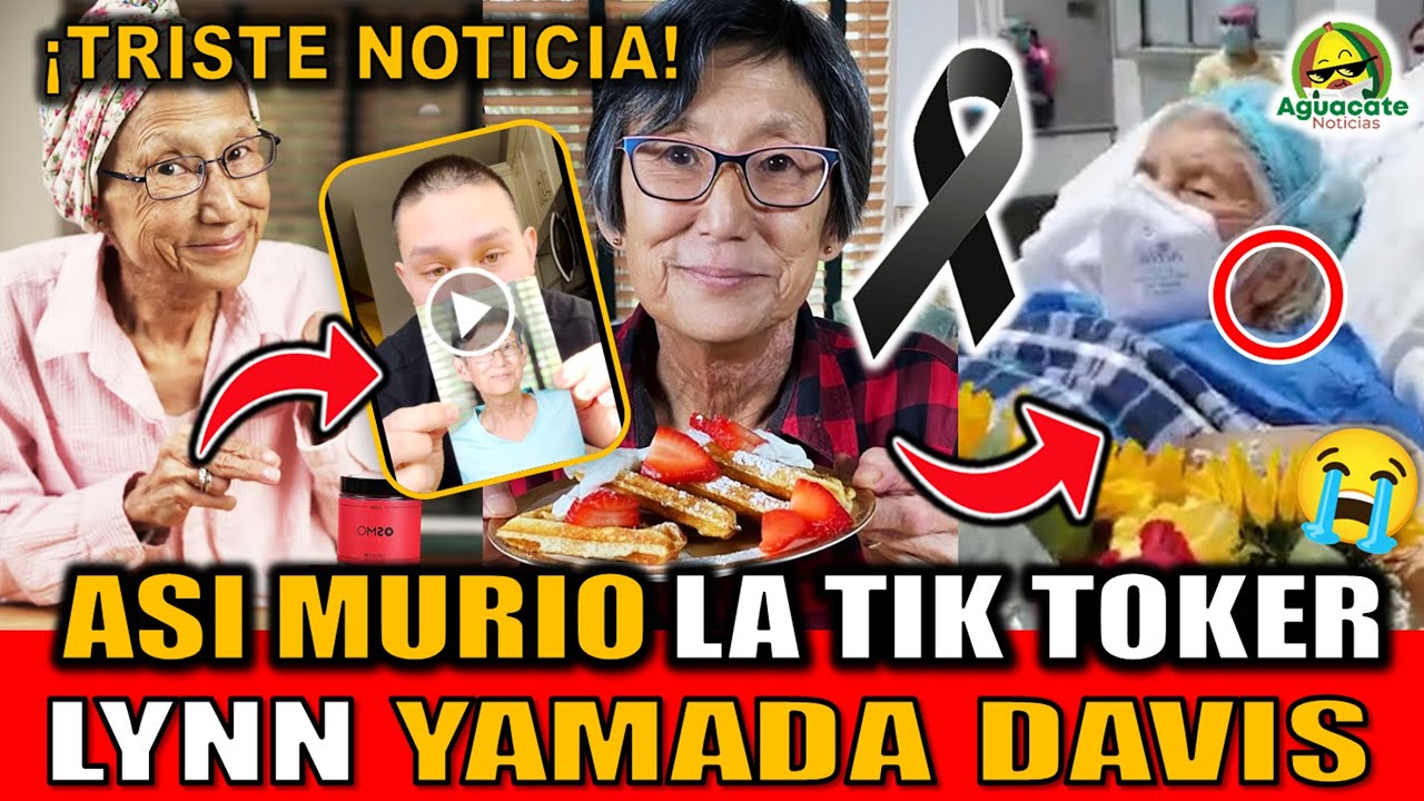 Asi MURIO Lynn Yamada Davis hoy TikToker Lynja fallece TODOS LOS ...