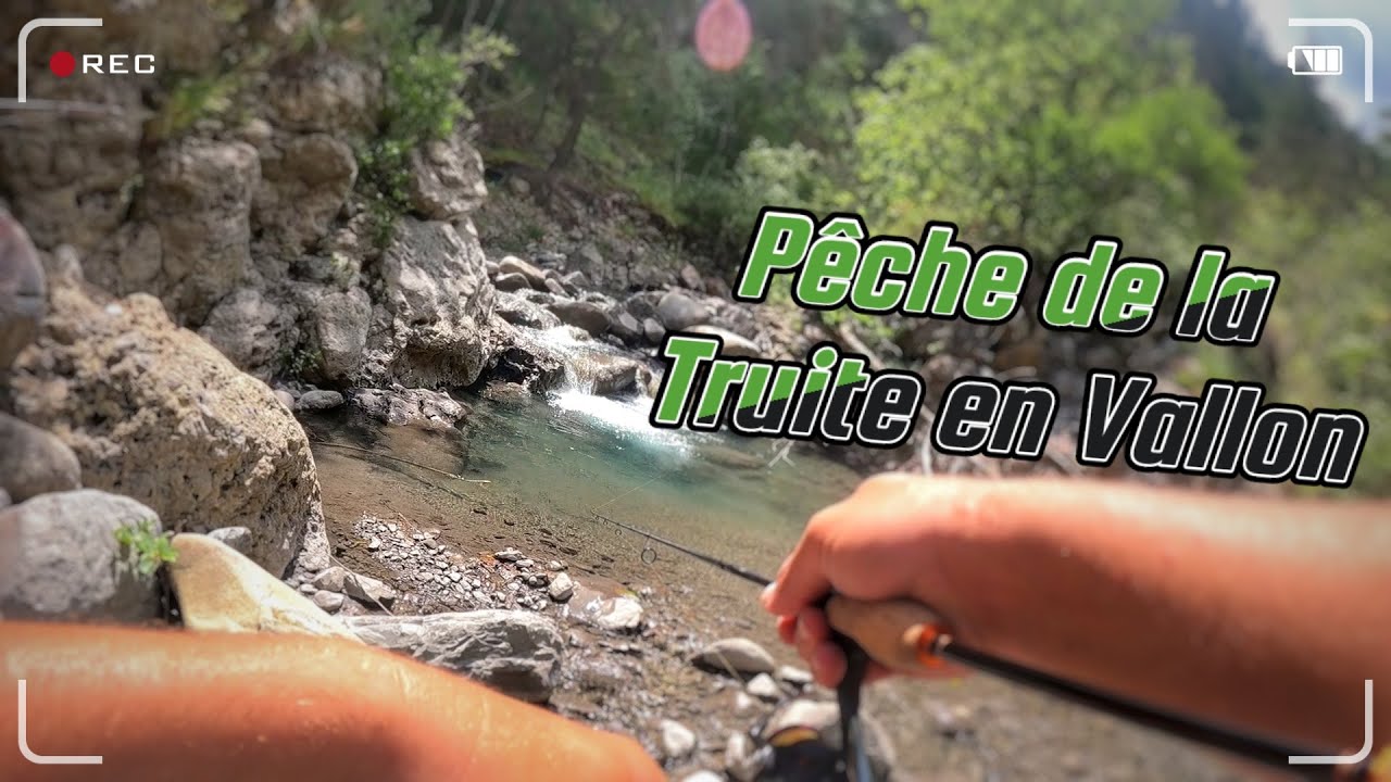 PÊCHE de la [TRUITE] en [VALLON] dans les ALPES - YouTube