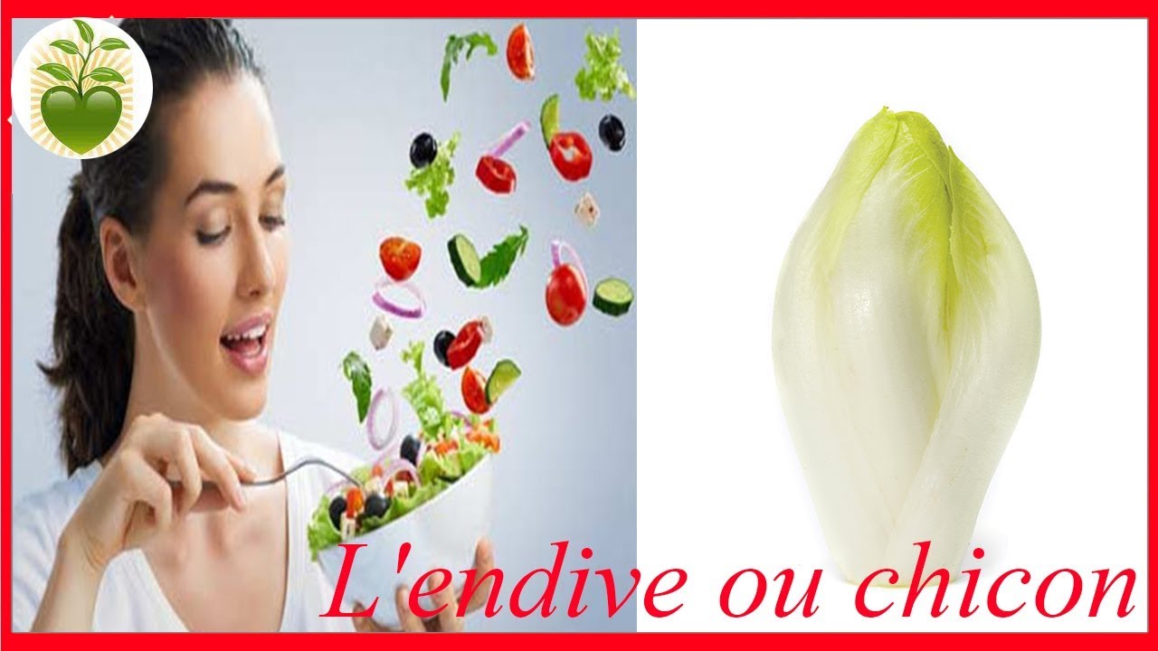 L'endive ou chicon, pour maigrir et se désintoxiquer - YouTube
