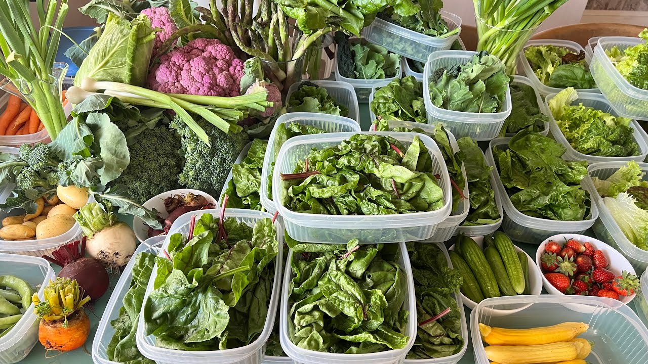 Join me for a stunning May harvest - YouTube