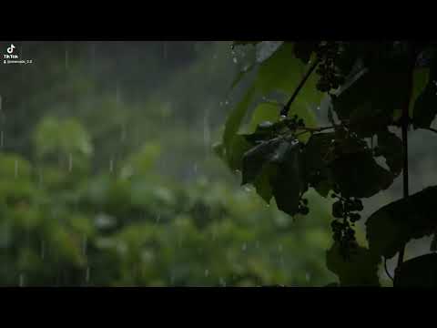 slow sound effect Rain sound youtubeshorts #youtube #shorts #youtuber #tiktok #youtubechannel
