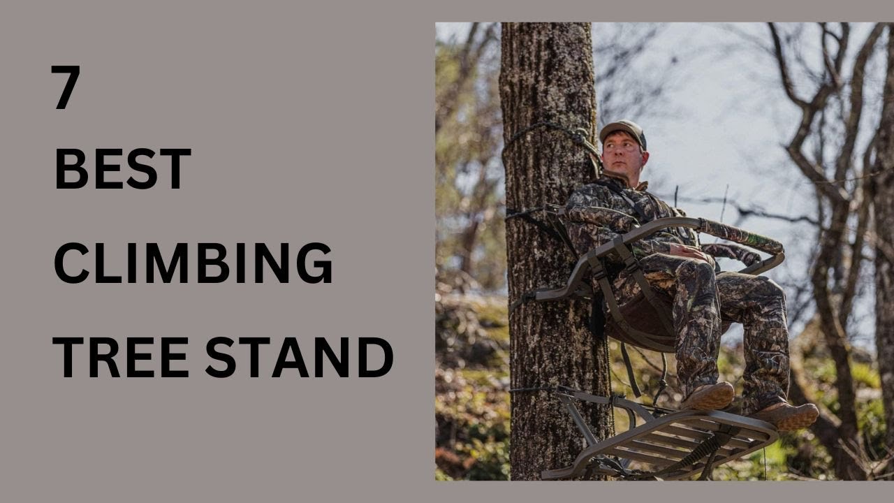 Top 7 Best Climbing Tree Stands for 2024 – Ultimate Hunting Comfort and ...