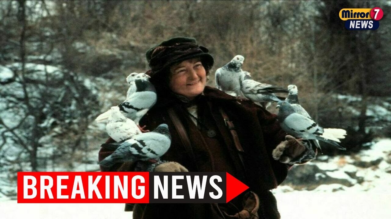 Was the Pigeon Attack Scene inHome Alone 2Real? - YouTube