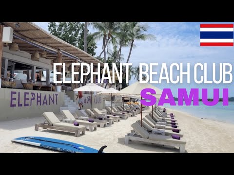 Elephant Beach Club and Resort, Samui, Thailand | Walkthrough and ...