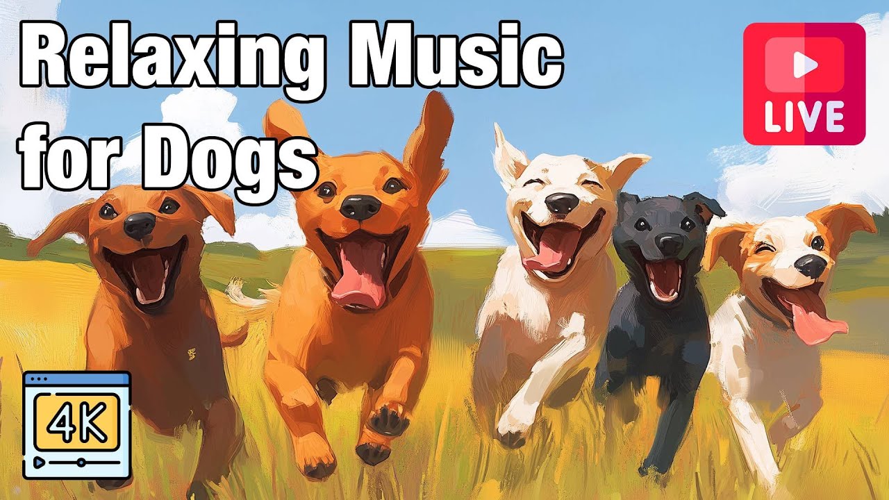 🔴 24/7 Dog TV: Ultimate Deep Relaxation Music for Dogs🎵🐶Dog Calming ...