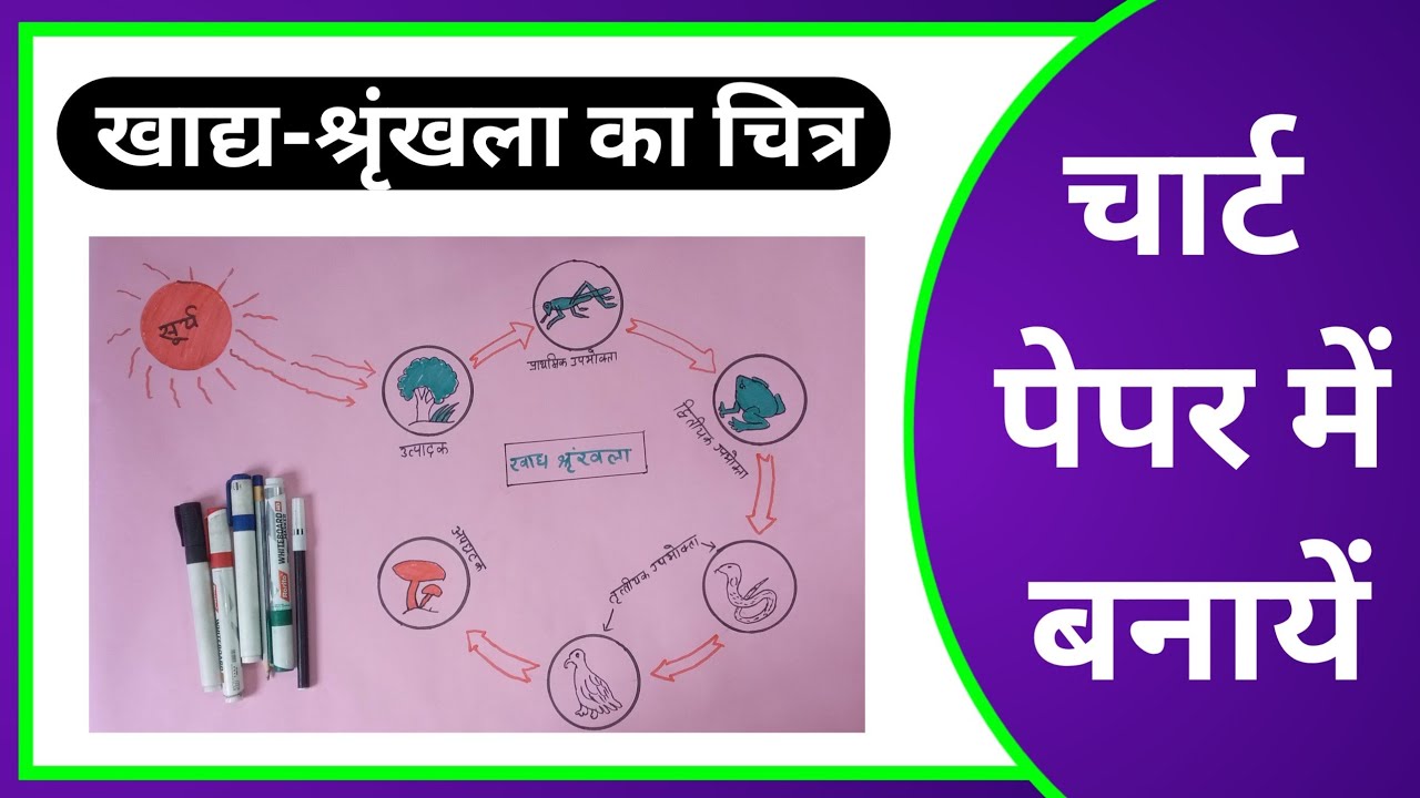 Khadya shrinkhala Ka Chitra chart paper mein Kaise banaen - YouTube