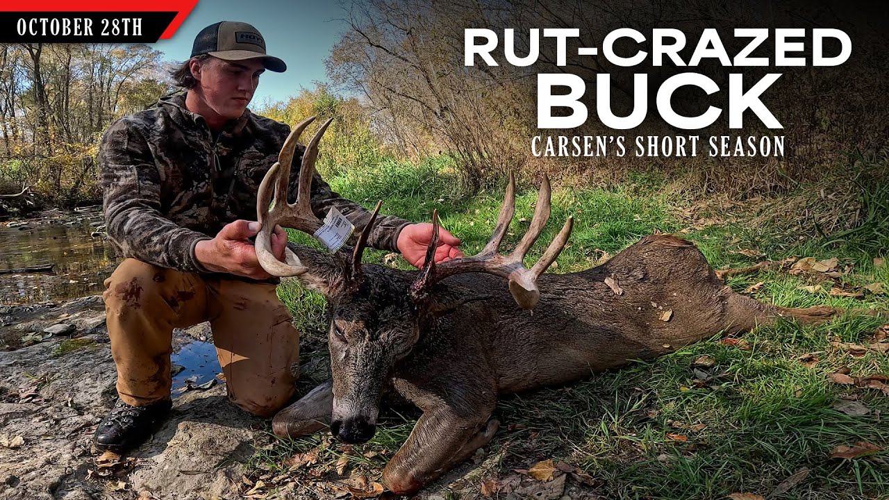 Rut-Crazed Buck Running a Scrape Line - Carsen's Short Season ...