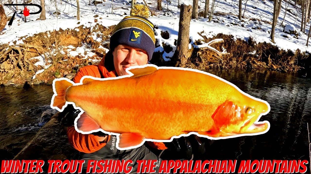 Winter Trout Fishing the Appalachian Mountains - YouTube