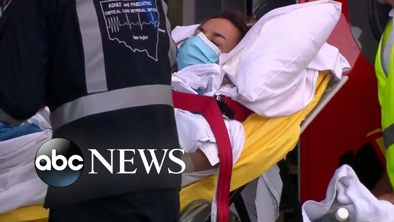 Husband Saves Wife From Shark Attack Youtube