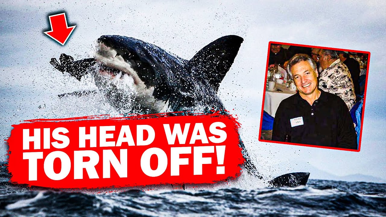 Shark Tears Off Diver's Head in Seconds, Turning the Sea Red - YouTube